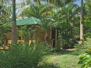 El Mirador Treehouse - Yuquiyu Farm