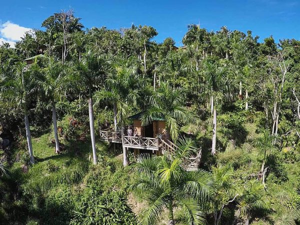 La Cascada Treehouse - Yuquiyu Farm